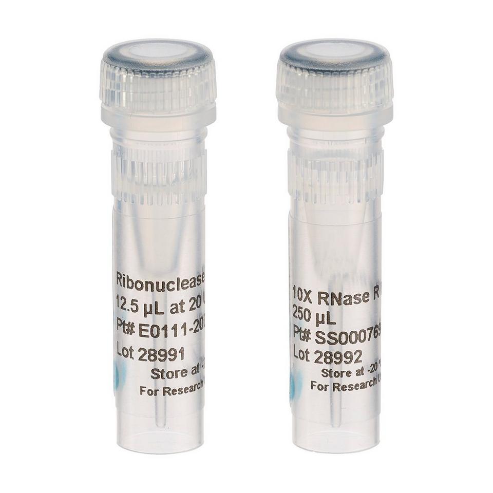 Lucigen分子生物酶_AlibioBuy